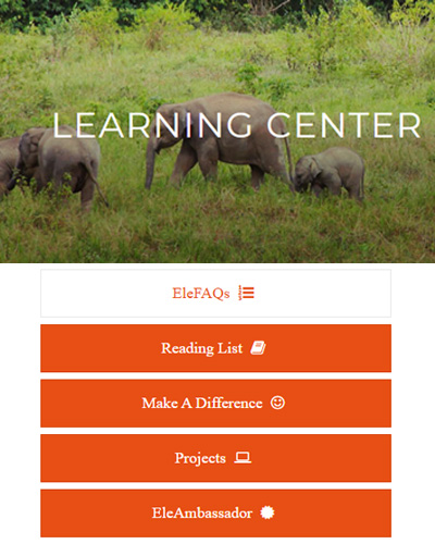 Home - Elephant Aid International